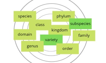 Difference Between Varieties and Subspecies, the Simple Guide